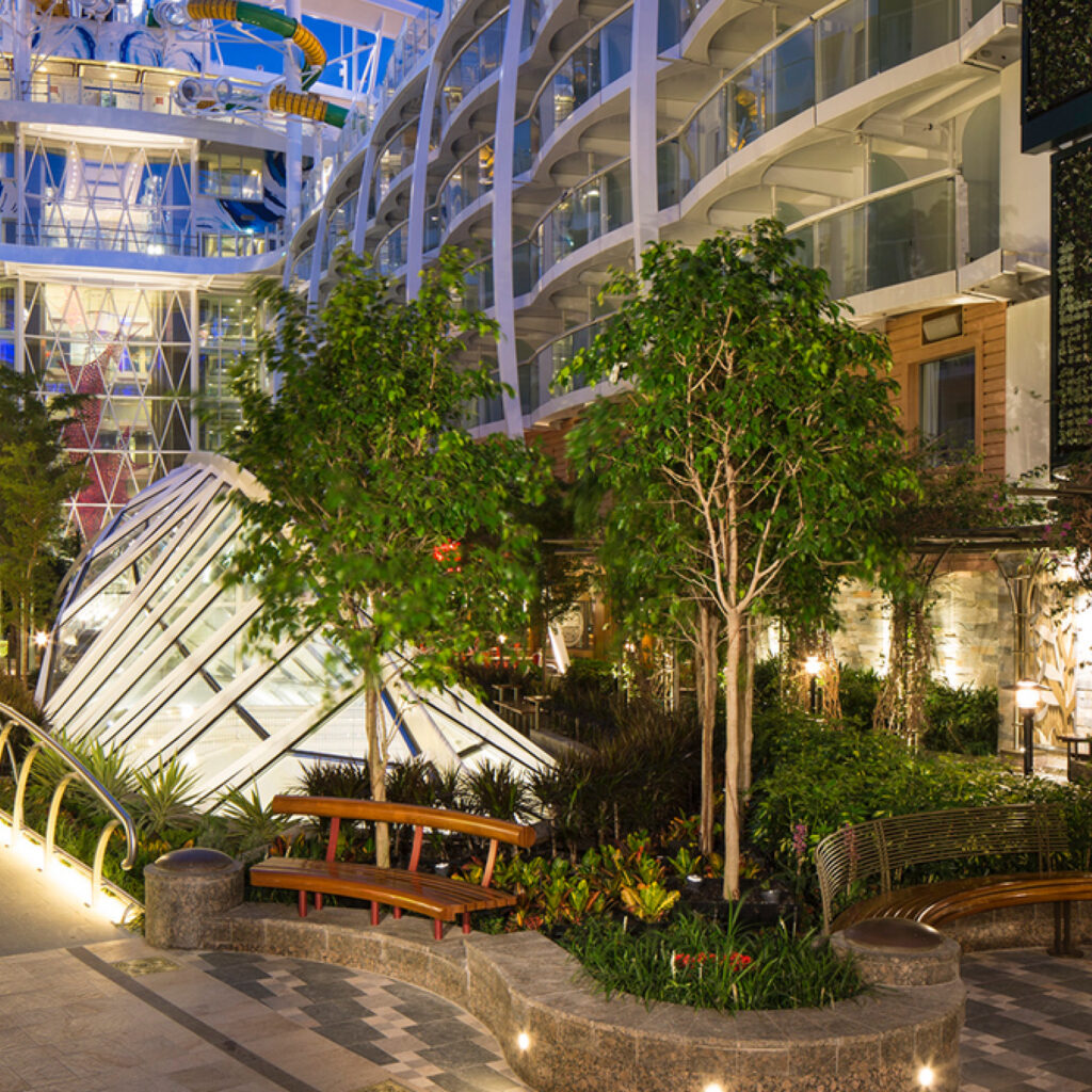 Oasis Class - Executive Cruises Malta